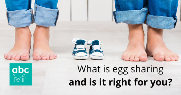 What is egg sharing and is it right for you? | IVF Blog | abc ivf
